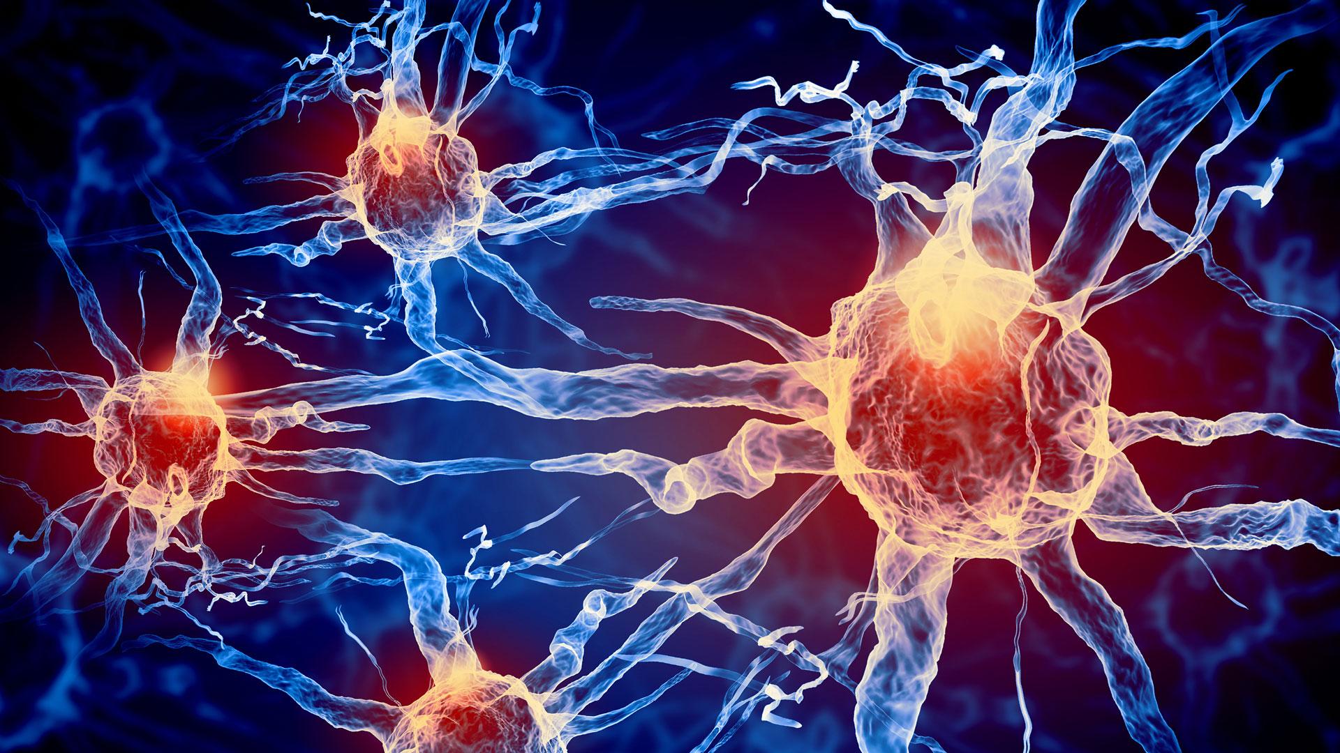 Targeting Neuroinflammation in Multiple Sclerosis