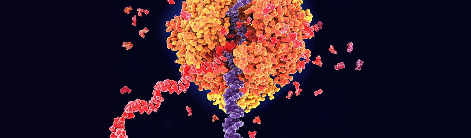 mRNA technology: vaccines and beyond