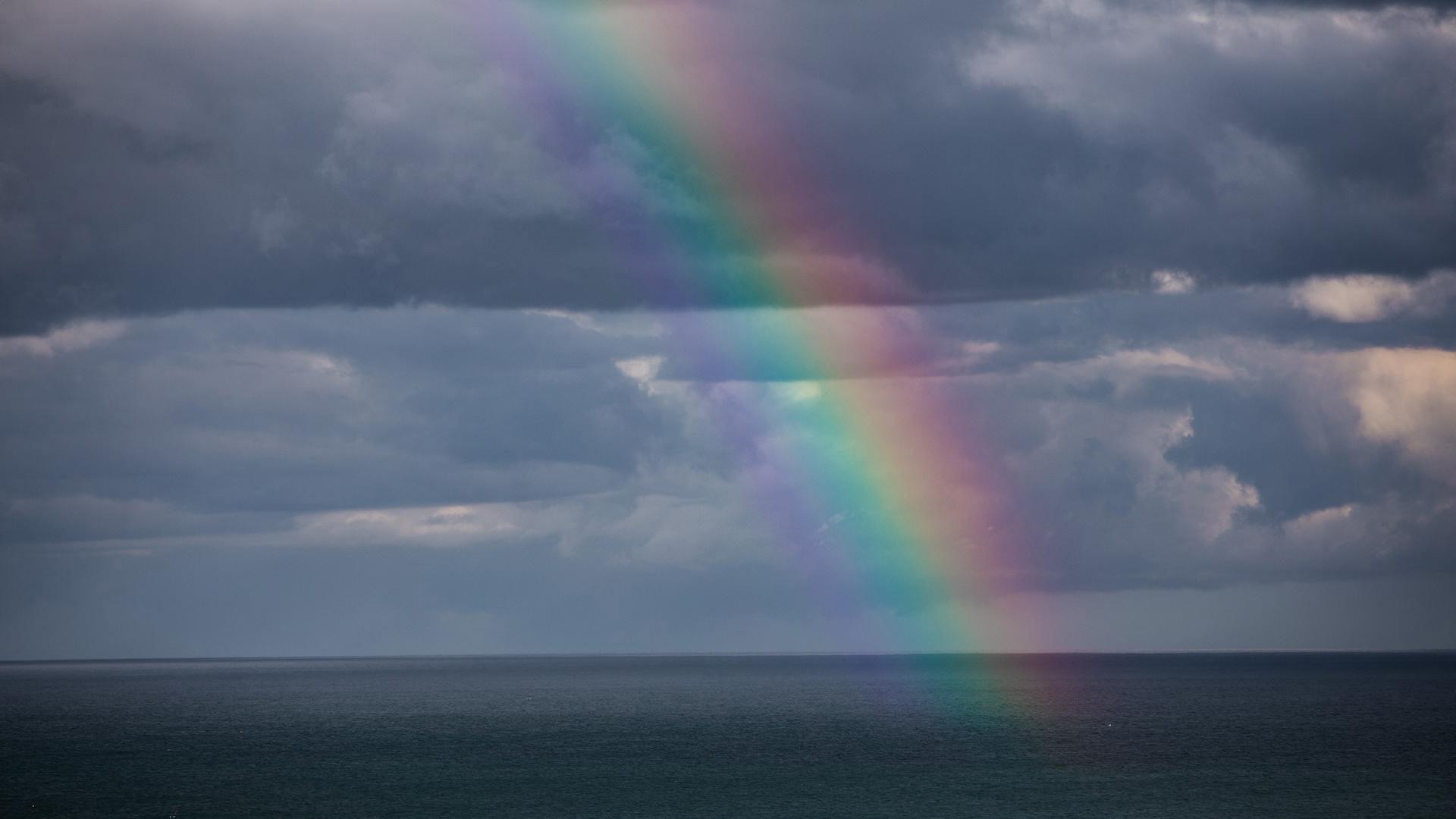 A Leading Immunology Healthcare Company | Sanofi