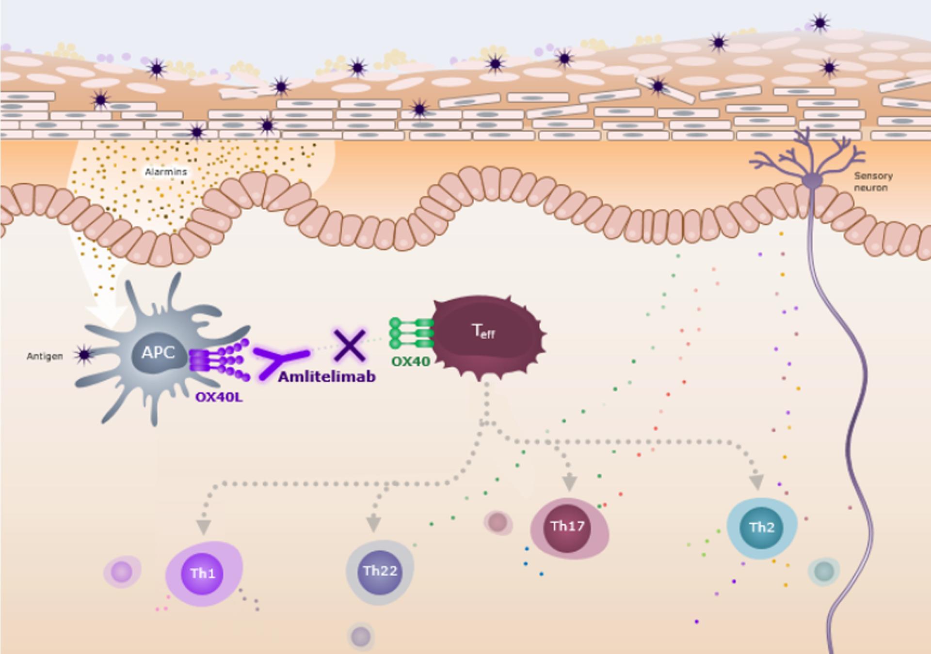 OCEANA Clinical Program | Sanofi