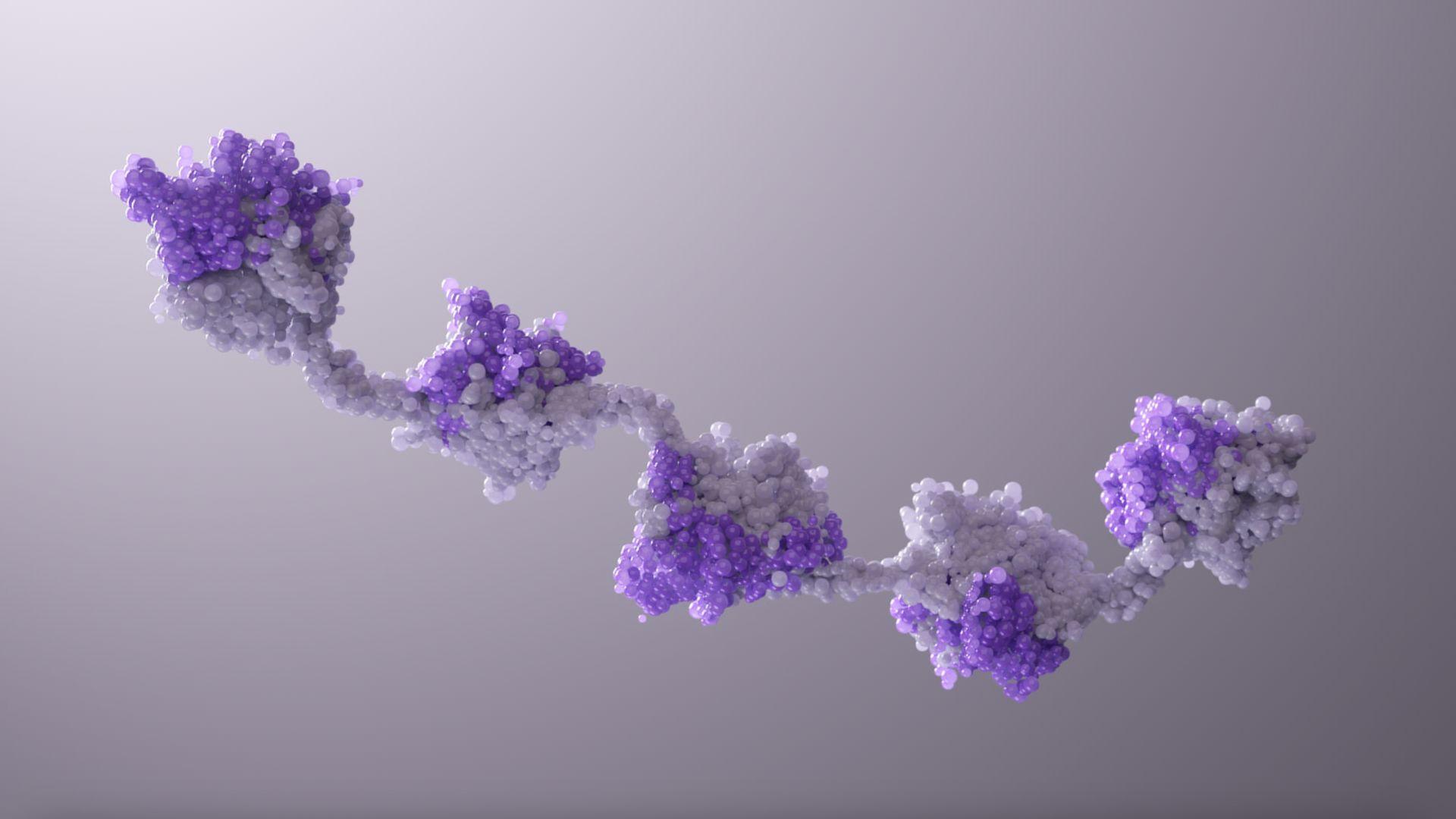 Technology platforms