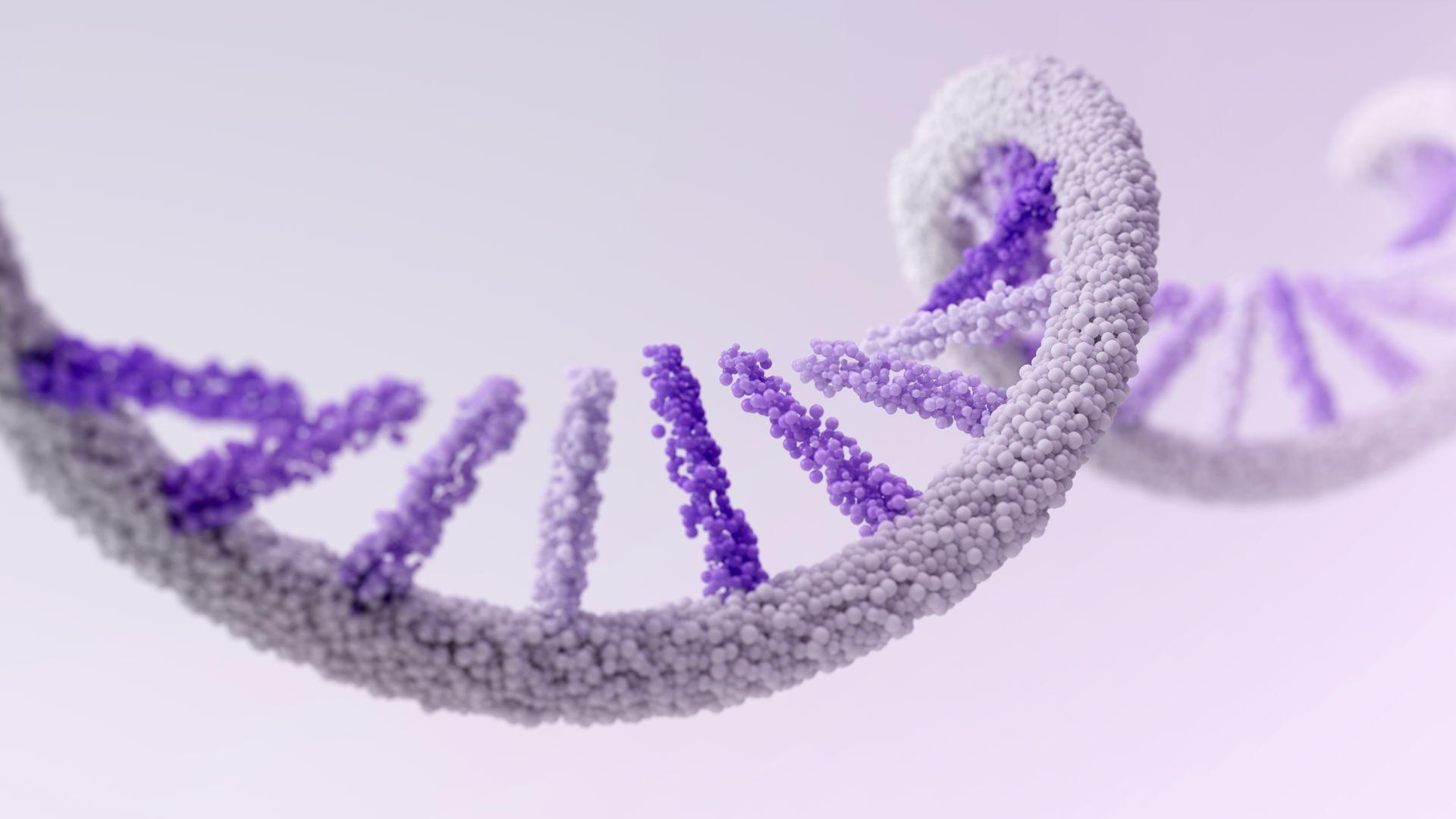 Technology platforms