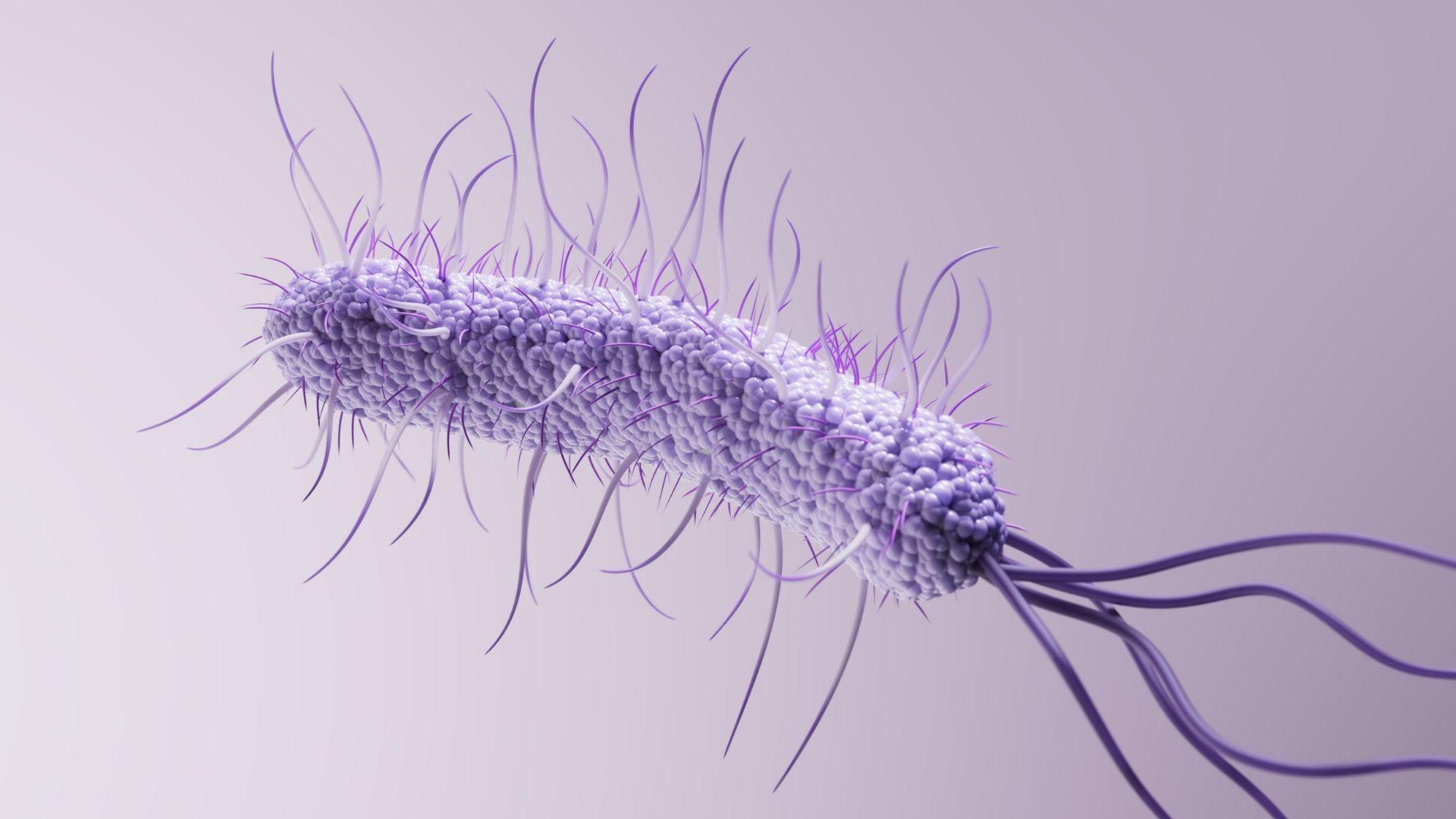 E. coli sepsis Vaccine l Sanofi